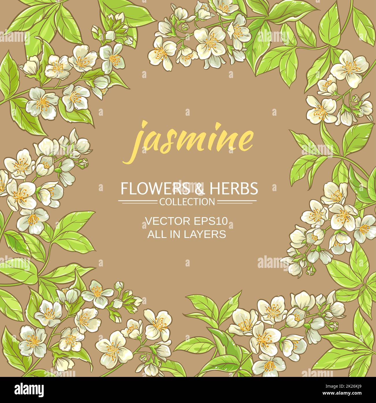 jasmine vector frame Stock Photo - Alamy