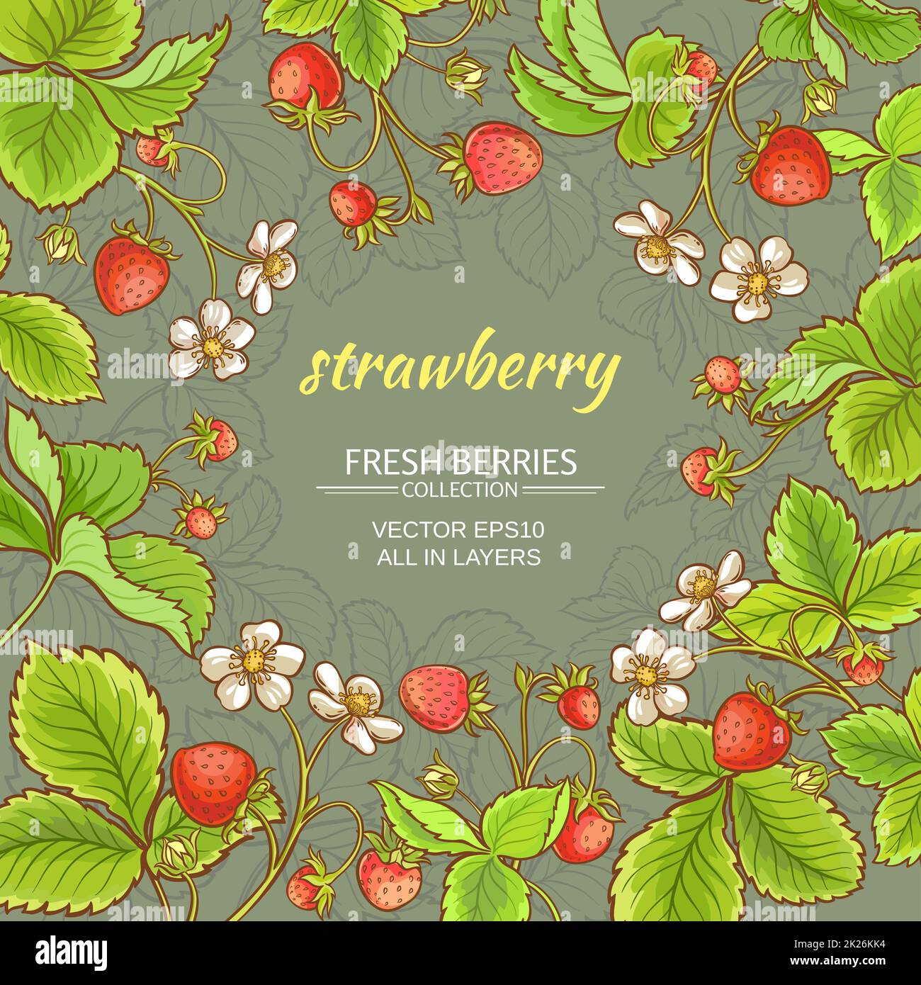 strawberry vector frame Stock Photo - Alamy