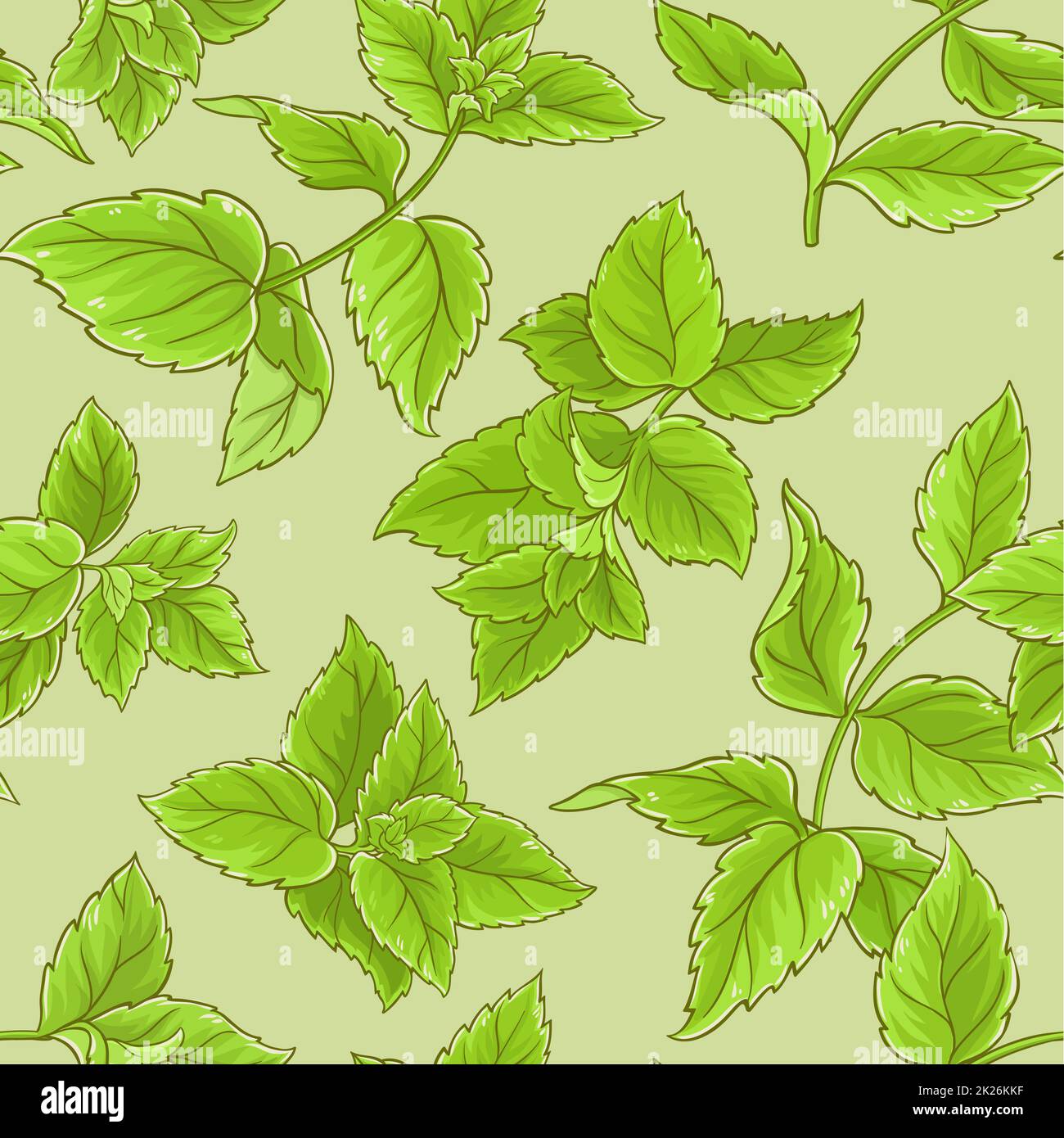 peppermint vector seamless pattern Stock Photo - Alamy