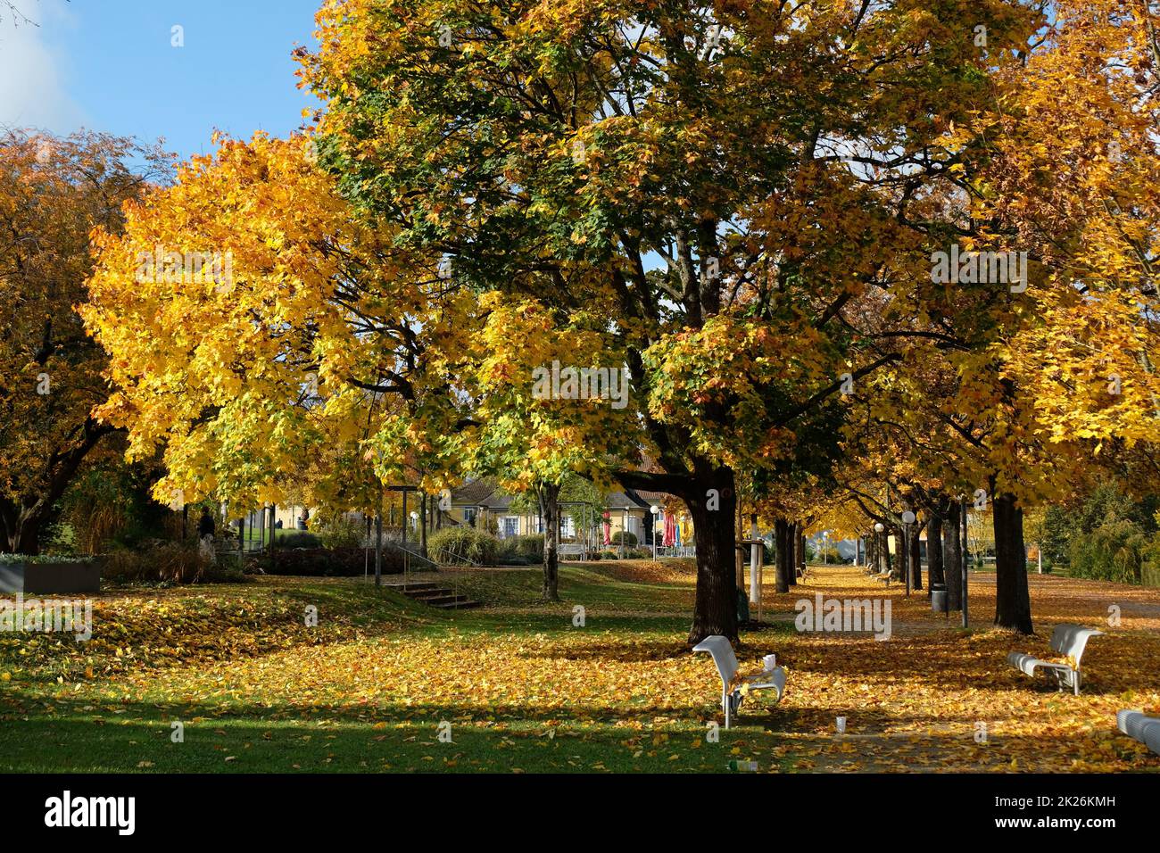 Autumn in Germany Stock Photo - Alamy
