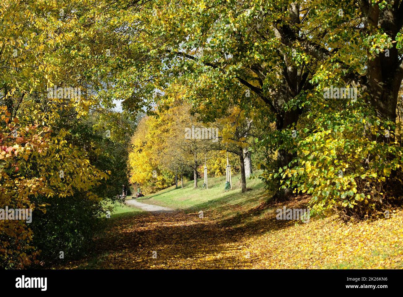 Autumn in Germany Stock Photo - Alamy