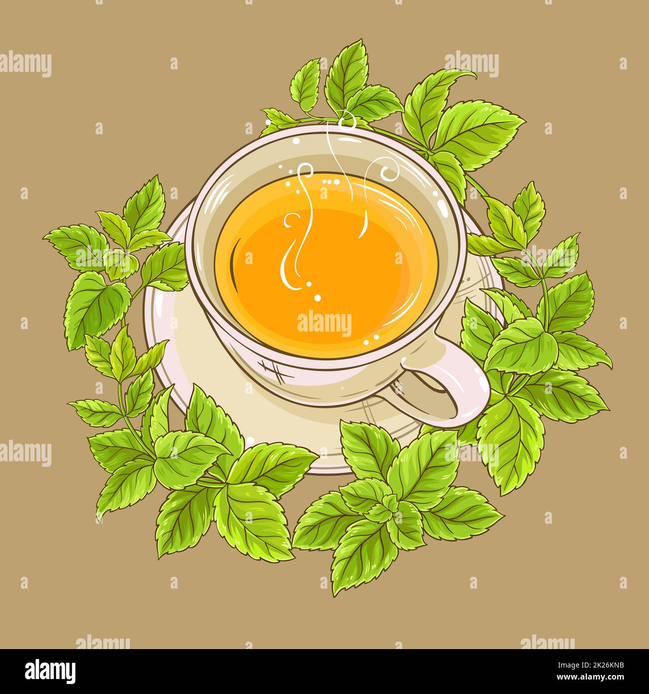 cup of melissa tea Stock Photo - Alamy