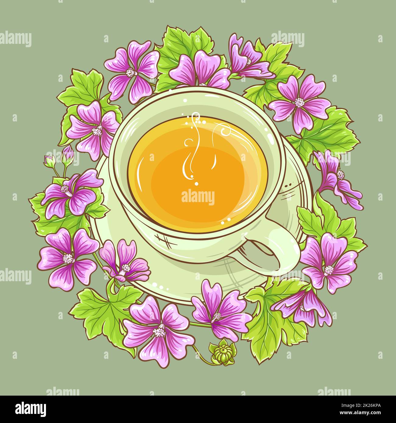 Malva sylvestris drawing hi-res stock photography and images - Alamy