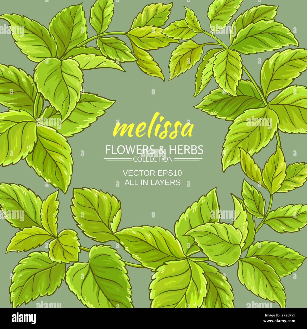 melissa vector frame Stock Photo - Alamy