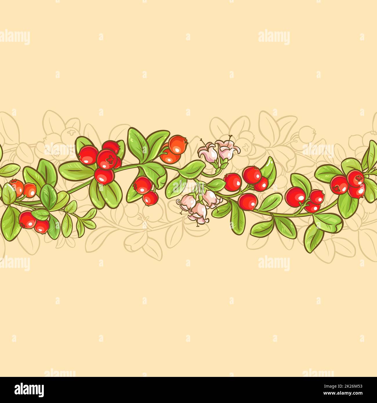 cranberry seamless pattern Stock Photo - Alamy
