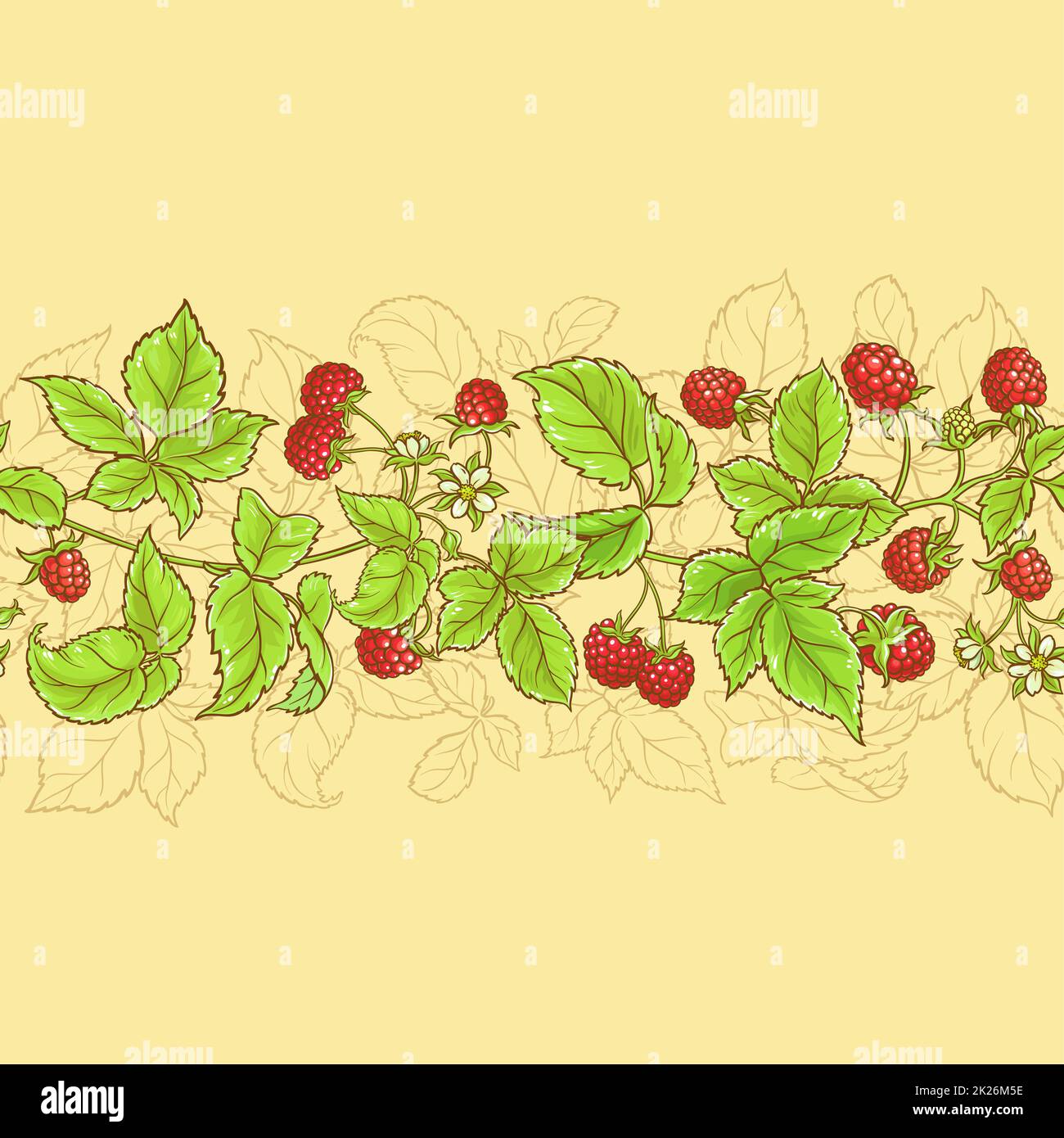 raspberry vector pattern Stock Photo - Alamy