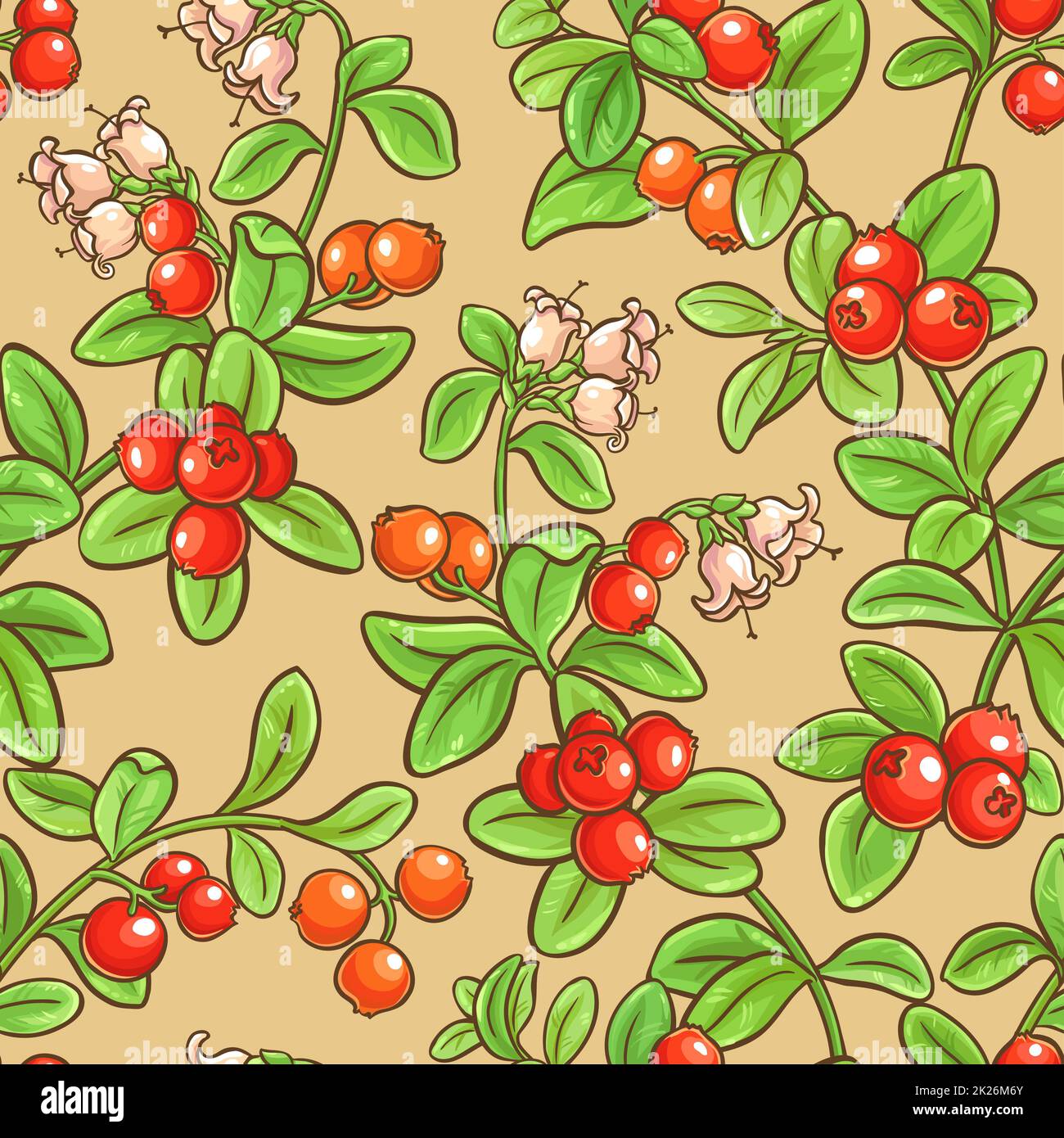 cranberry seamless pattern Stock Photo - Alamy