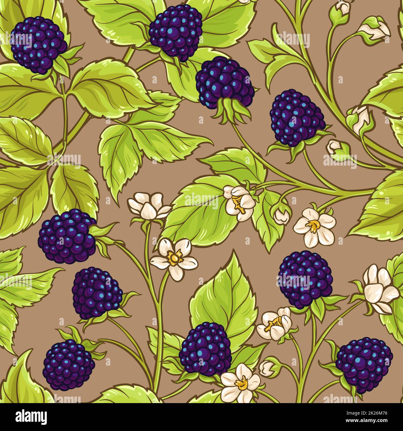 blackberry seamless pattern Stock Photo - Alamy