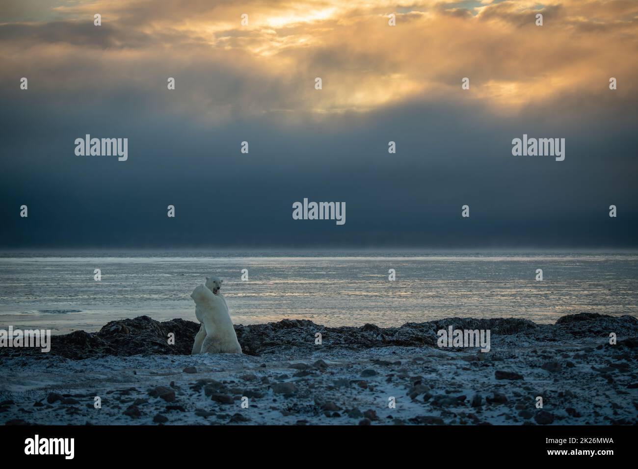 Nunavut shoreline hi-res stock photography and images - Alamy