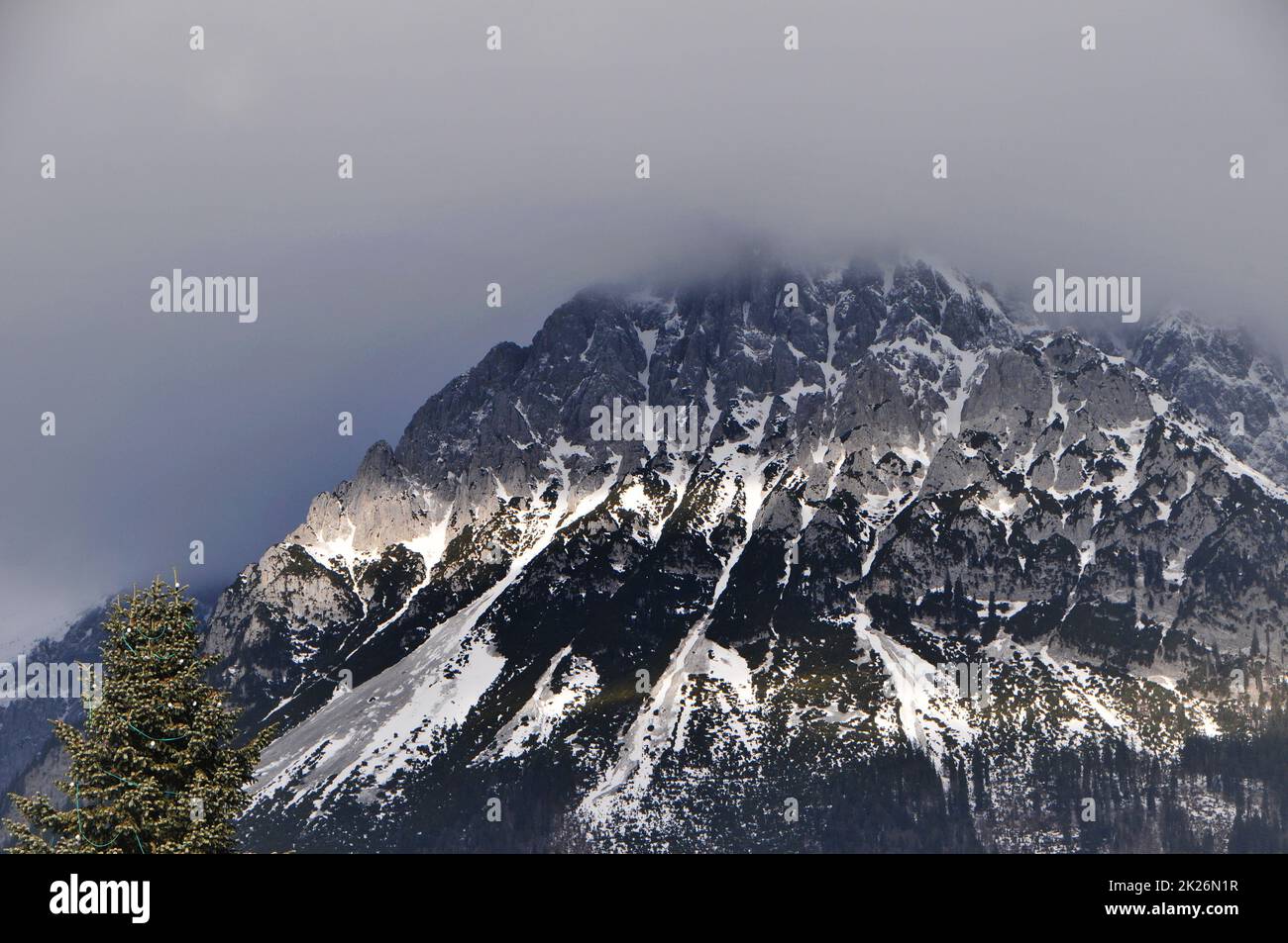 Wild emperor tyrol hi-res stock photography and images - Alamy