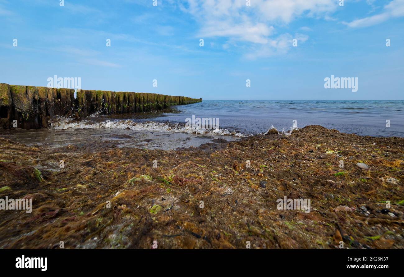 Rock groynes hi-res stock photography and images - Alamy