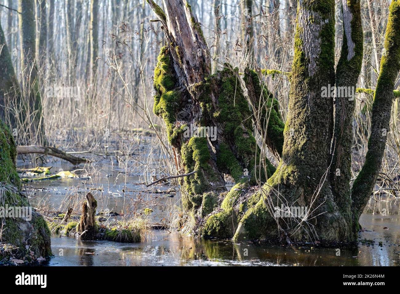 Flood formation hi-res stock photography and images - Alamy