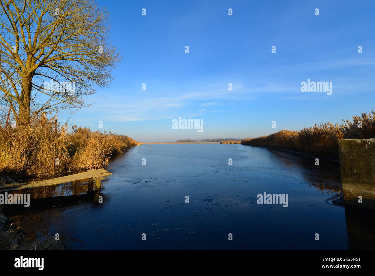 Pond fish winter hi-res stock photography and images - Alamy