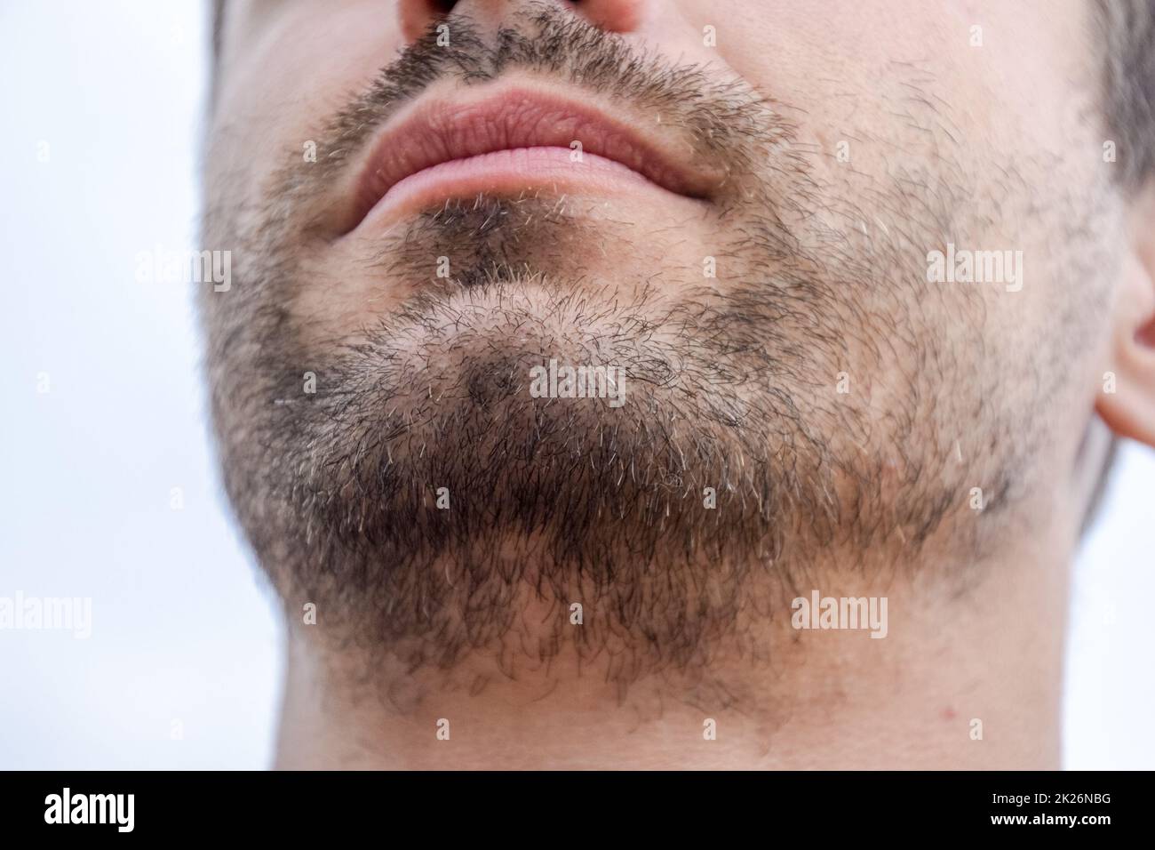Bearded male chin. Beard on the face of a young man Stock Photo - Alamy