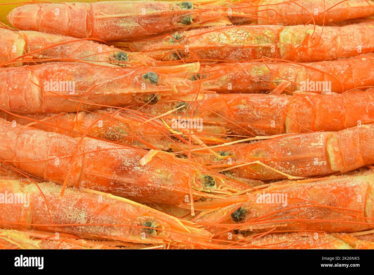 Frozen extra large tiger prawns served on ice. Top view. Close-up Stock ...
