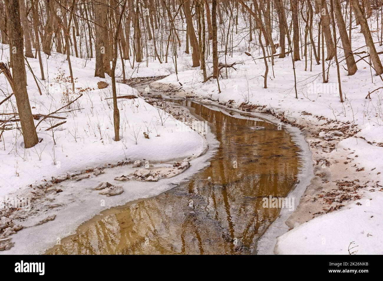 Quiet Stream Wending Its Way Through the Winter Forest Stock Photo - Alamy