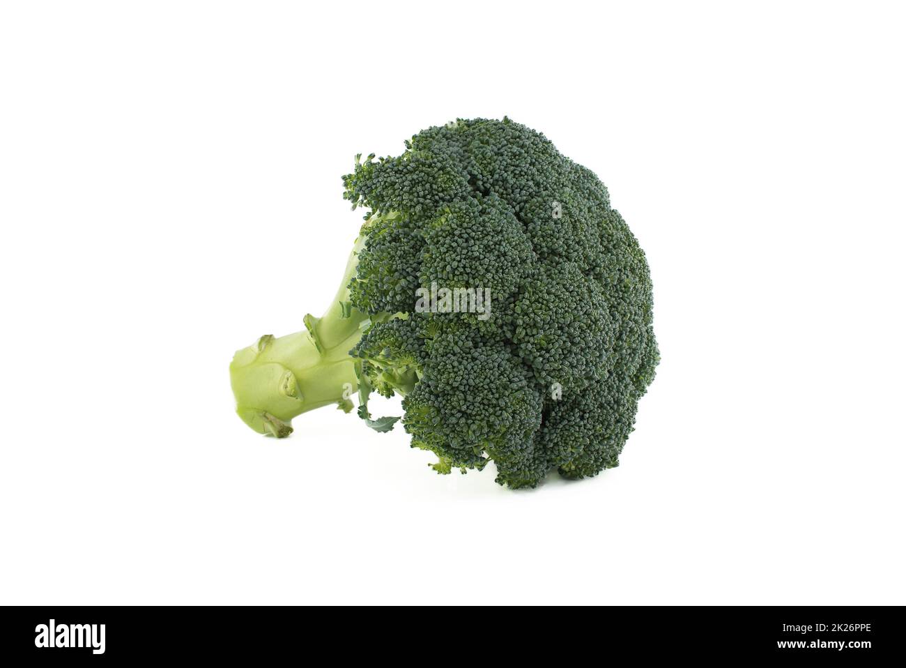 Broccoli florets isolated on white background Stock Photo - Alamy