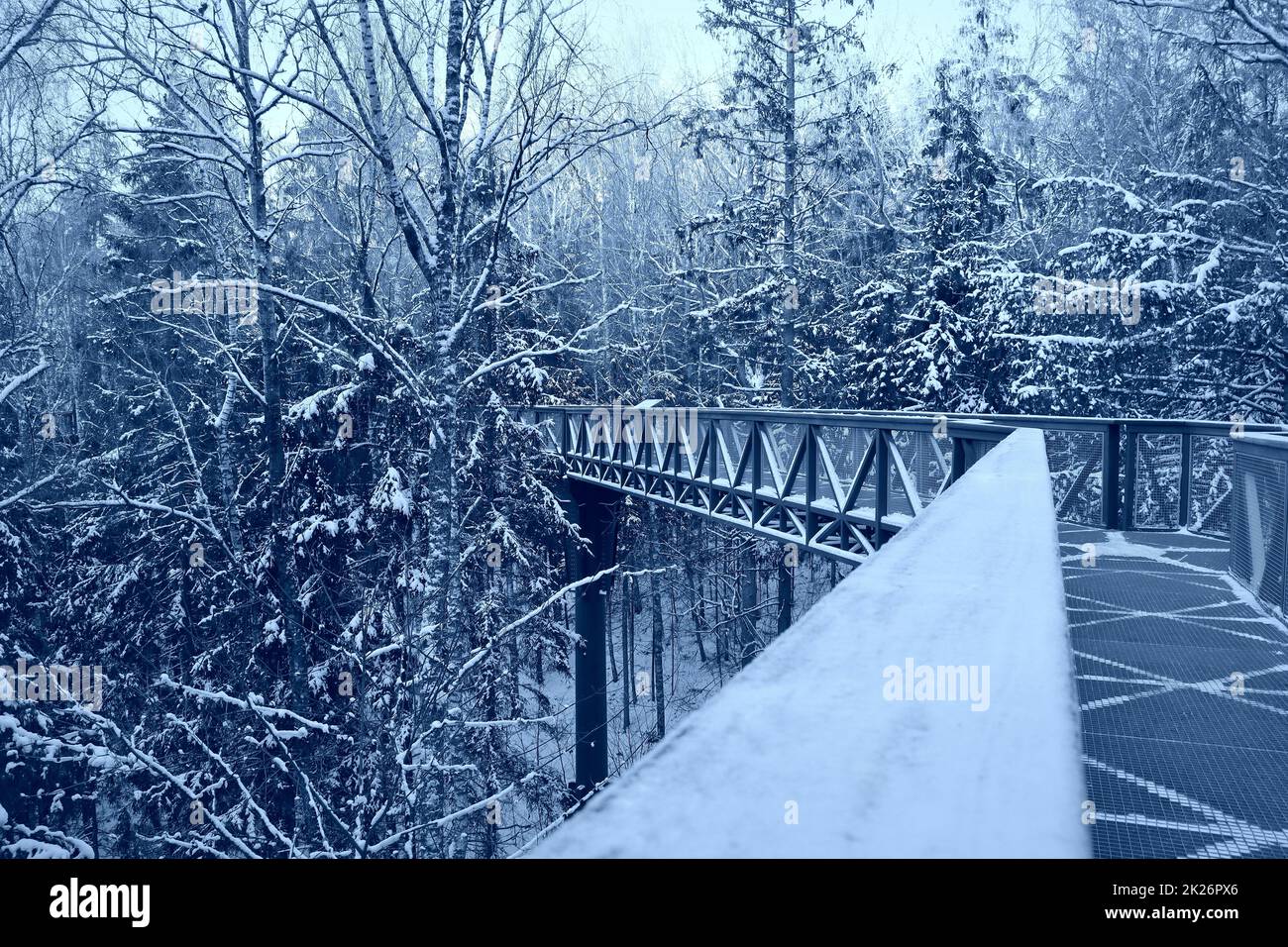 Metal footbridge over the stream, in winter snowy forest, beautiful ...