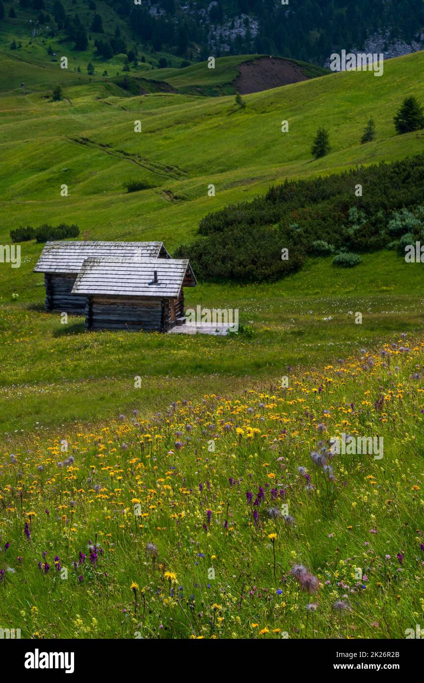 Pralongia Plateau in the Dolomites Stock Photo - Alamy