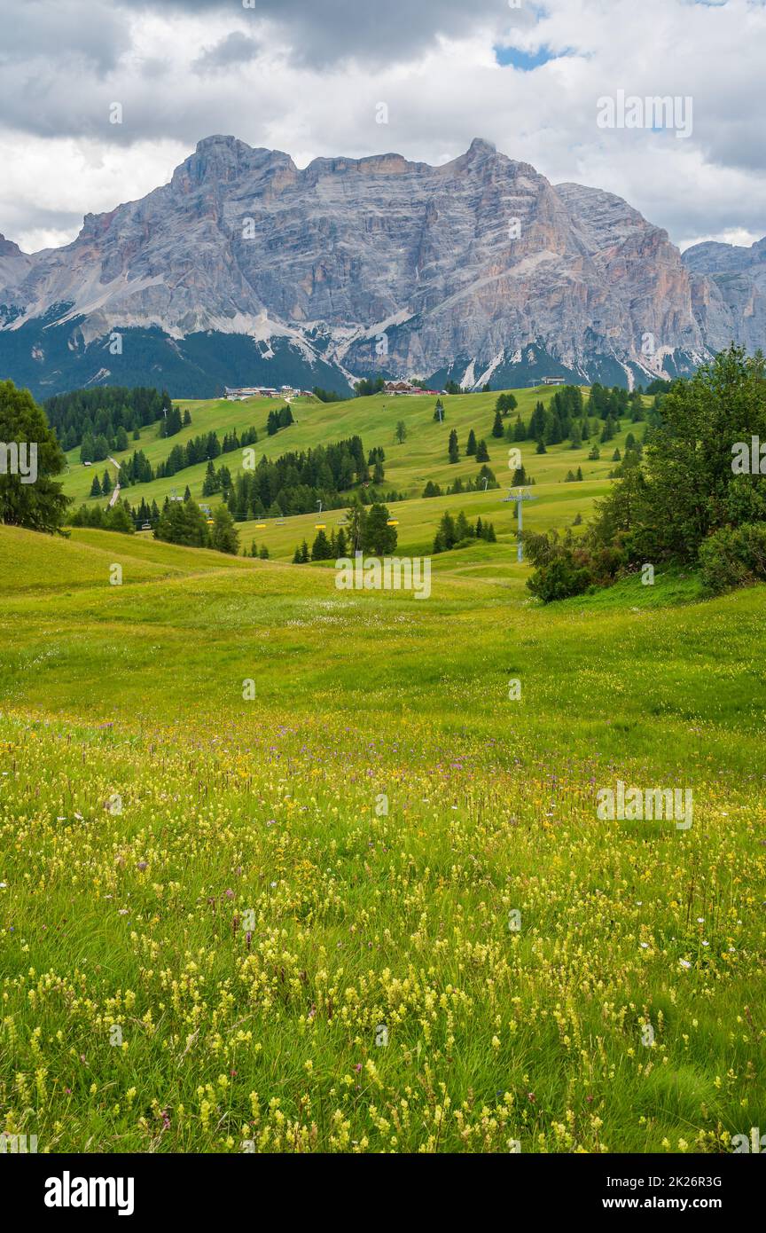 Pralongia Plateau in the Dolomites Stock Photo - Alamy