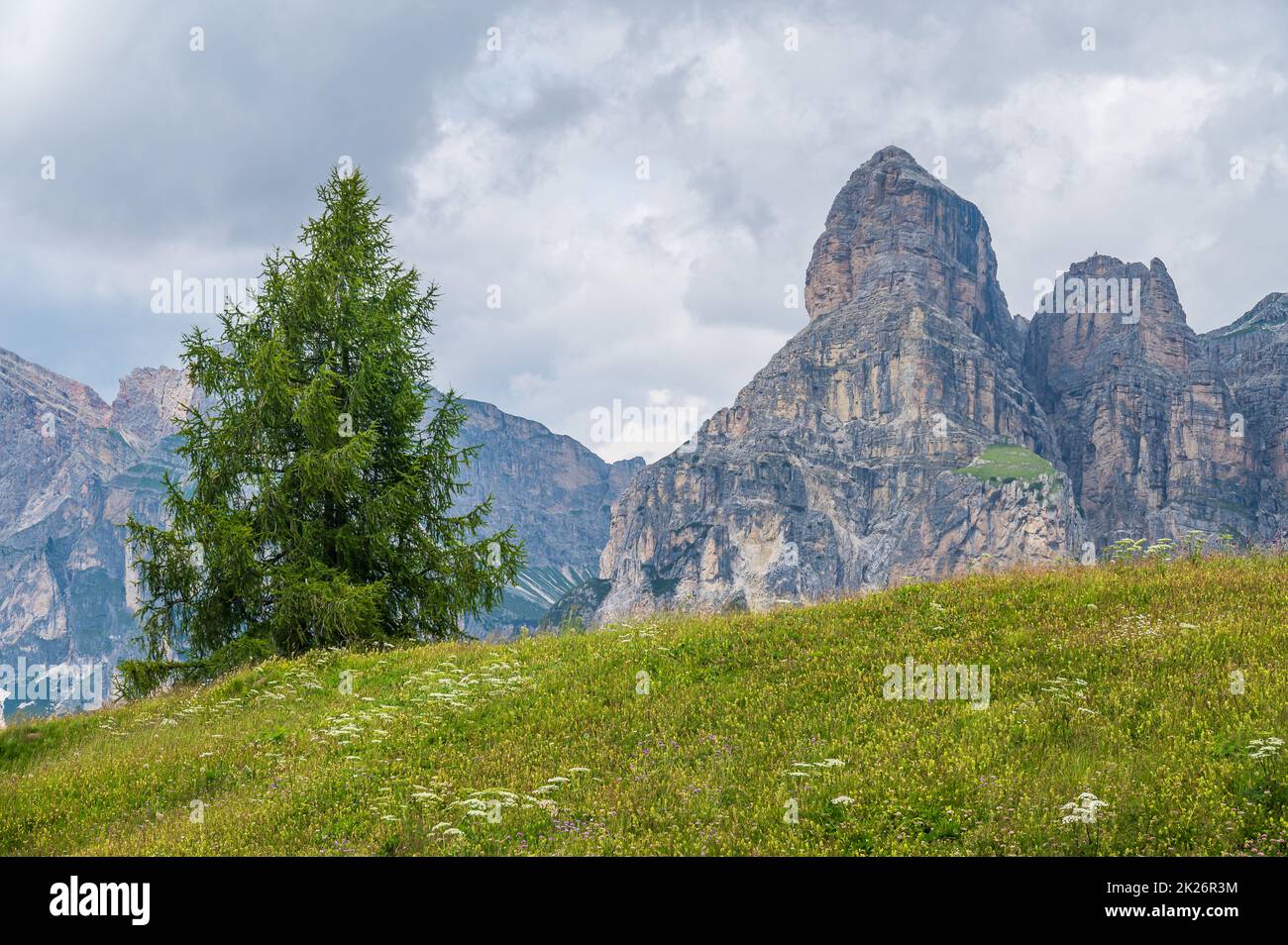 Pralongia Plateau in the Dolomites Stock Photo - Alamy