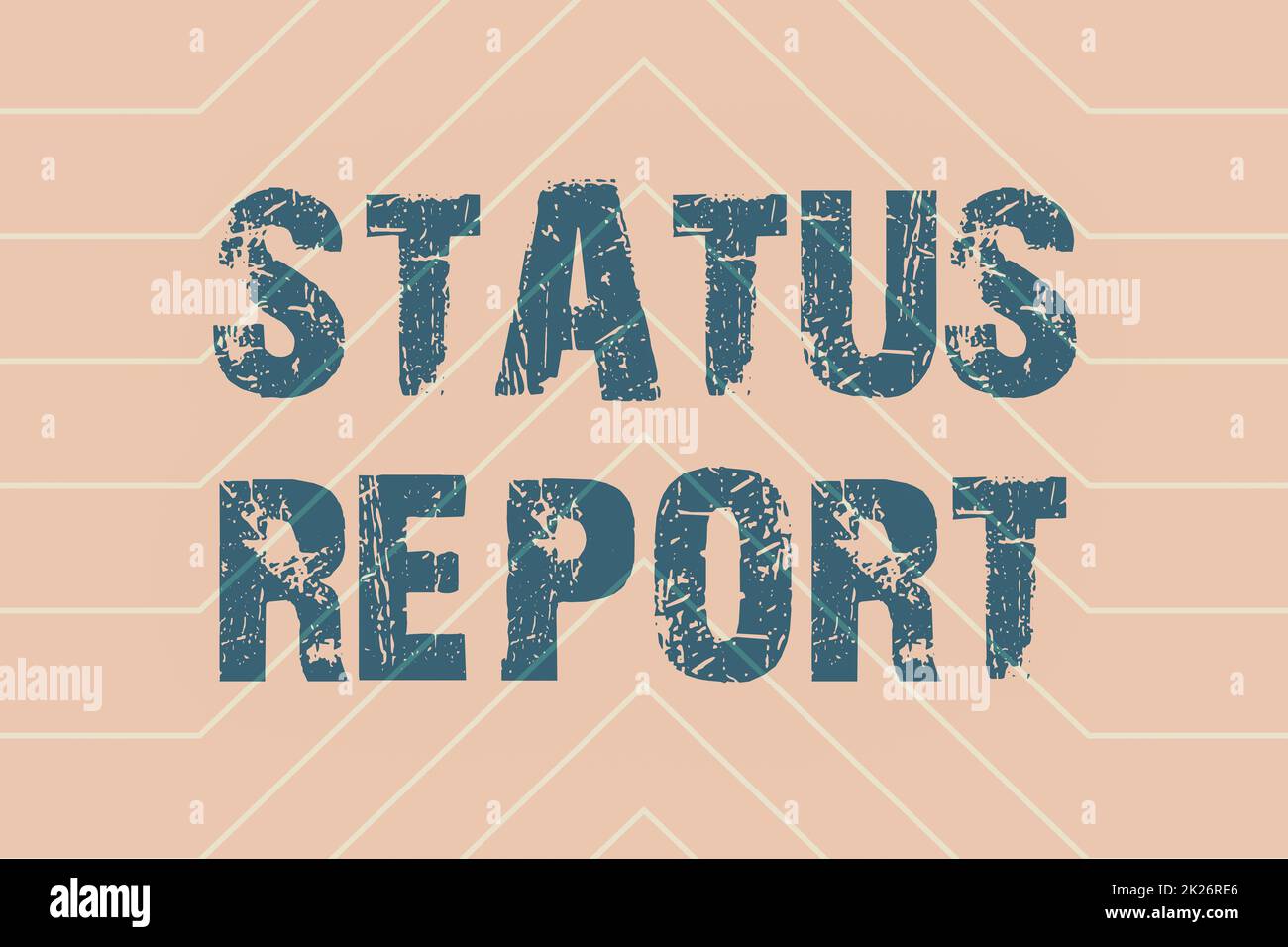 Conceptual display Status Report. Word for summarizes the particular ... Conceptual display Status Report. Word for summarizes the particular ...