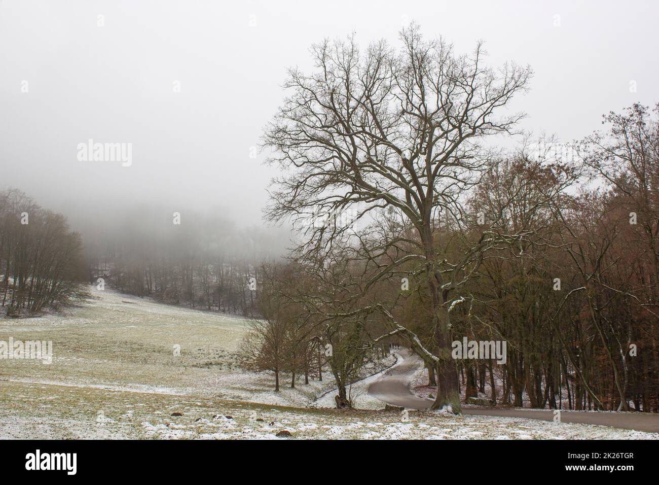 Kassel and bergpark hi-res stock photography and images - Alamy
