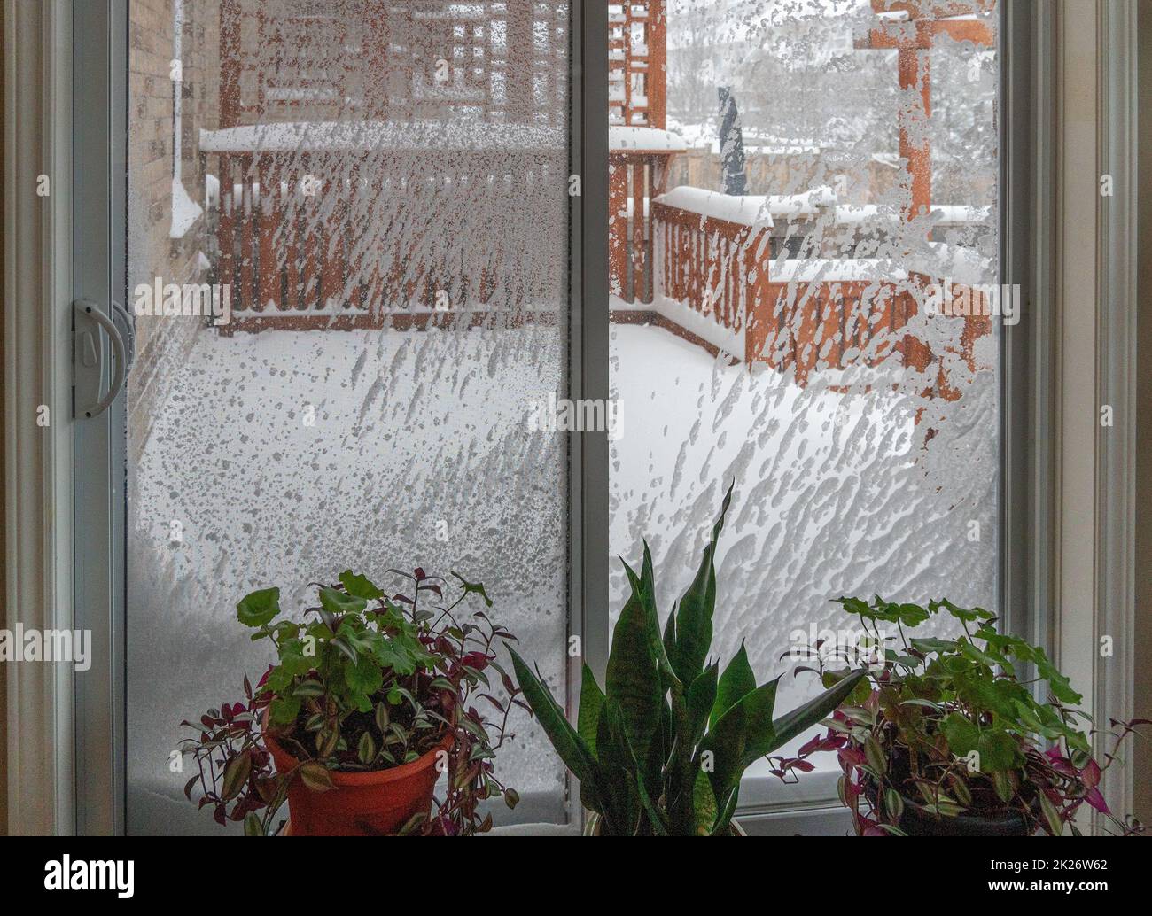 Life with flowers hi-res stock photography and images - Alamy