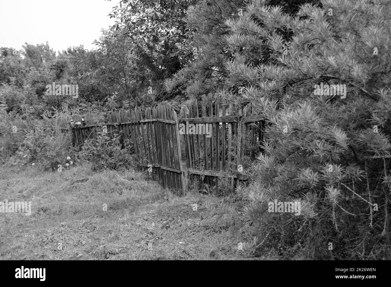 Village house entry hi-res stock photography and images - Alamy