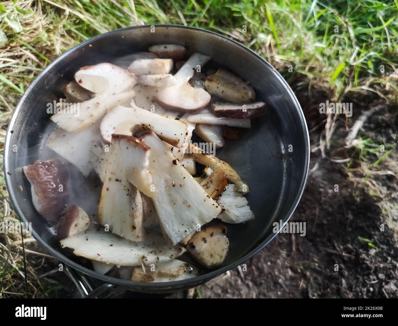 cooking fresh outdoor food with sliced boletus in a pot during hiking ...