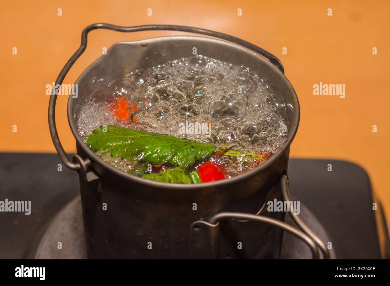 boiling survival tea with rose hips and leaves with many bubbles Stock ...