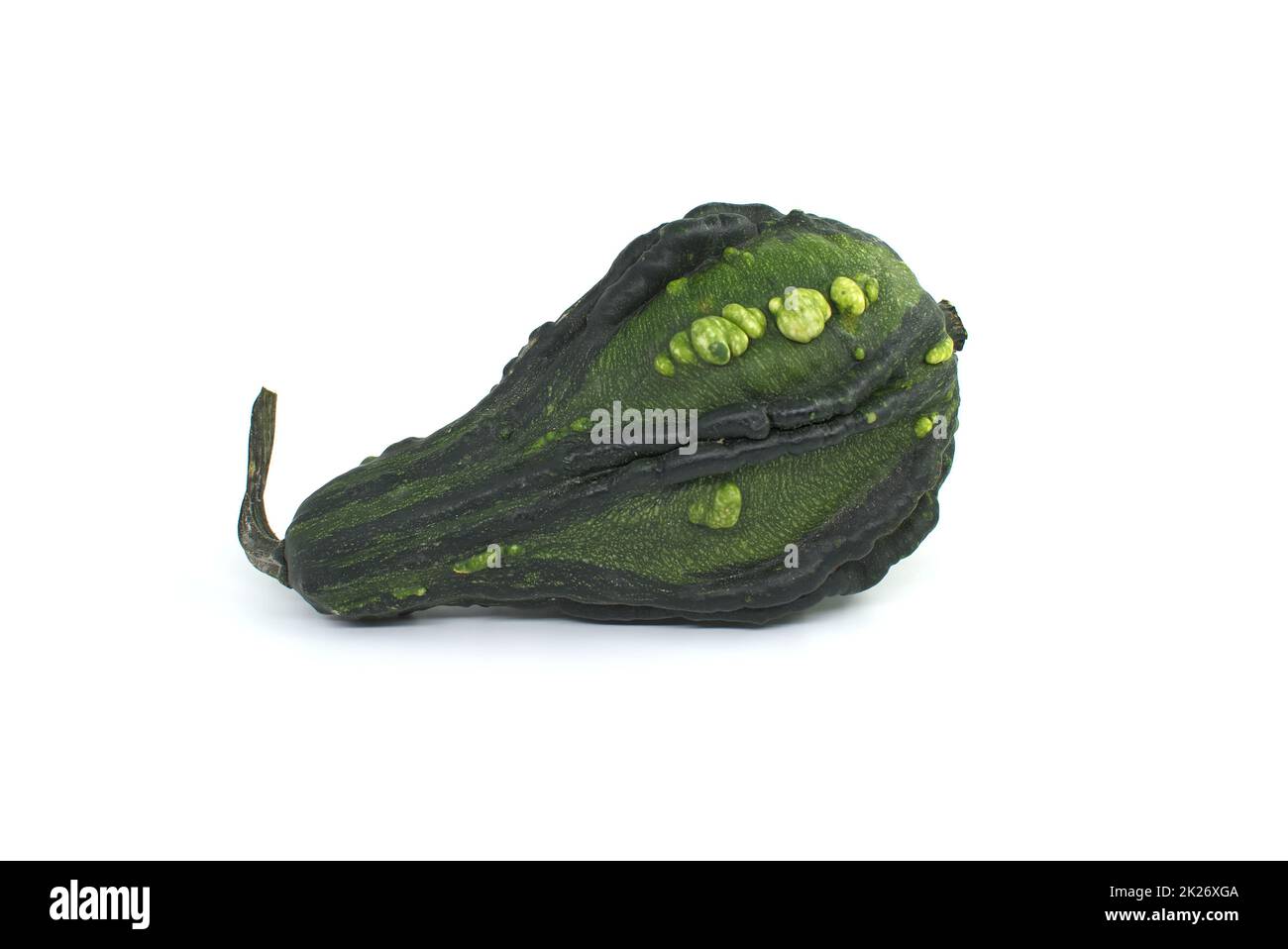 Warty squash hi-res stock photography and images - Alamy