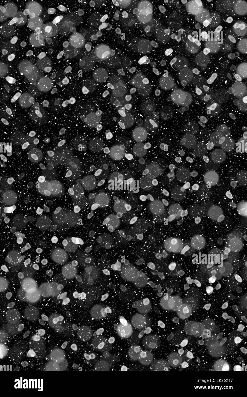 Real falling snow on a black background Stock Photo - Alamy