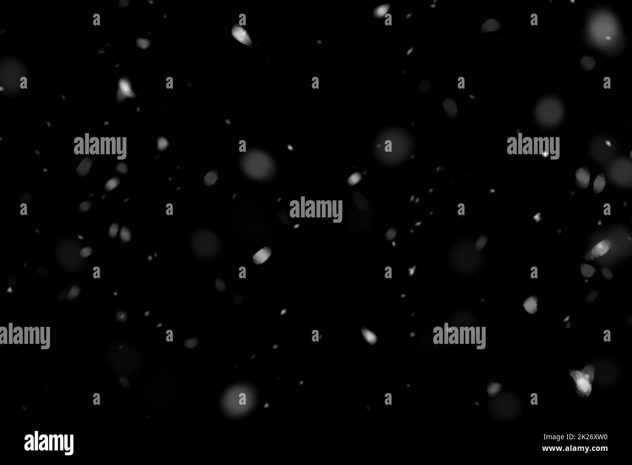 Real falling snow on a black background Stock Photo - Alamy