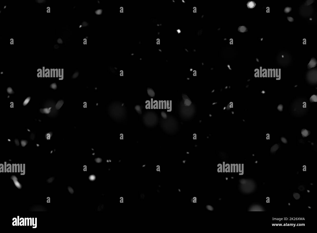 Real falling snow on a black background Stock Photo - Alamy