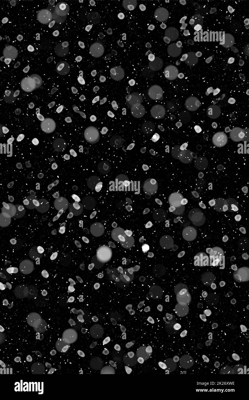 Real falling snow on a black background Stock Photo - Alamy