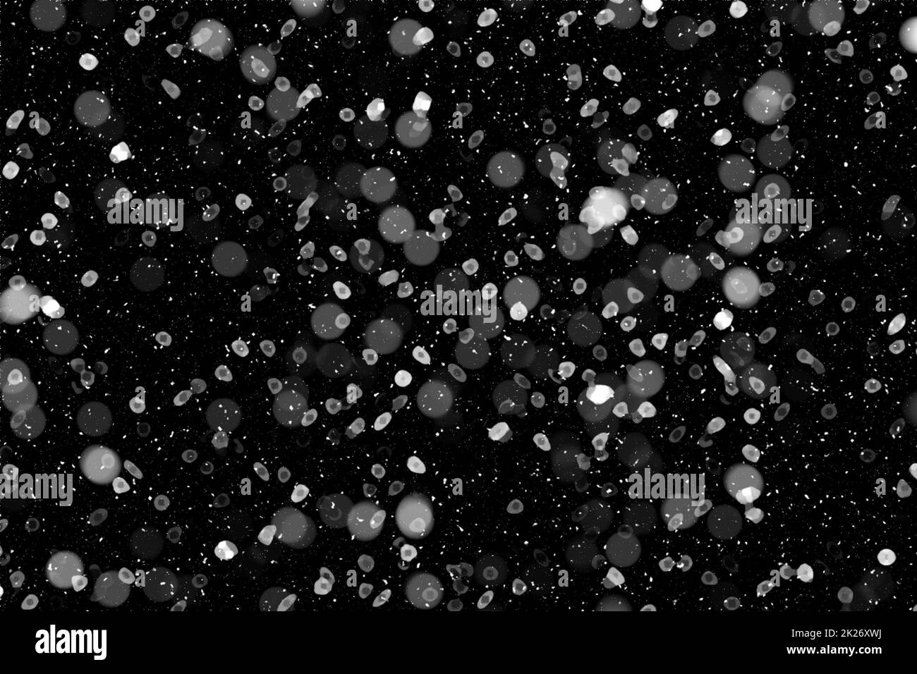 Real falling snow on a black background Stock Photo - Alamy
