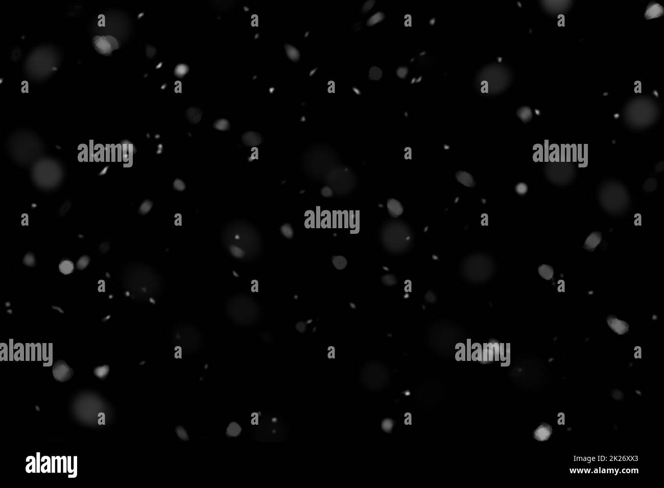 Real falling snow on a black background Stock Photo - Alamy