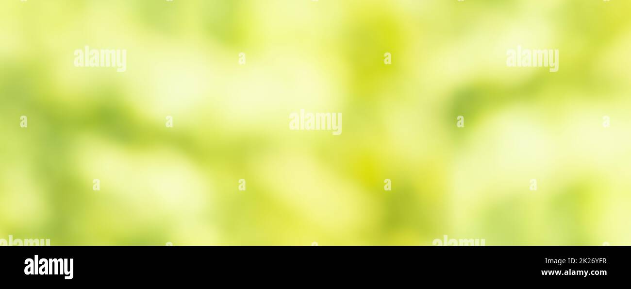 Abstract blurred radiant green background Stock Photo - Alamy Abstract blurred radiant green background Stock Photo - Alamy