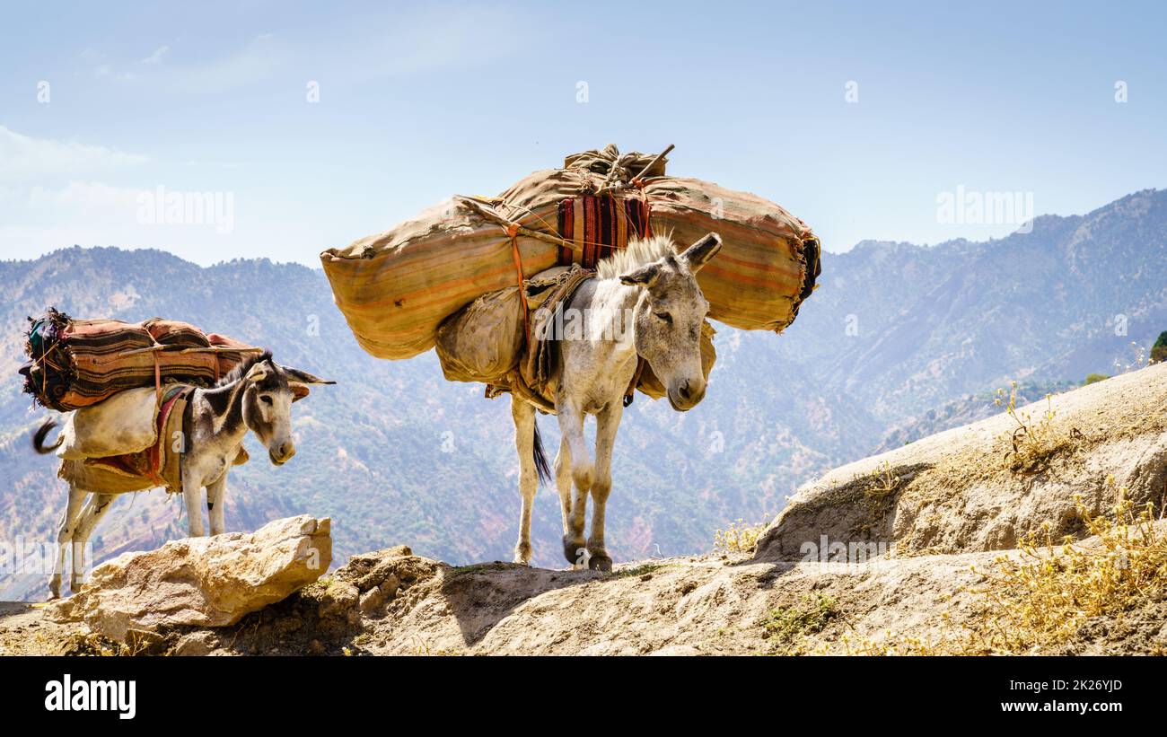 Load and pack hi-res stock photography and images - Alamy