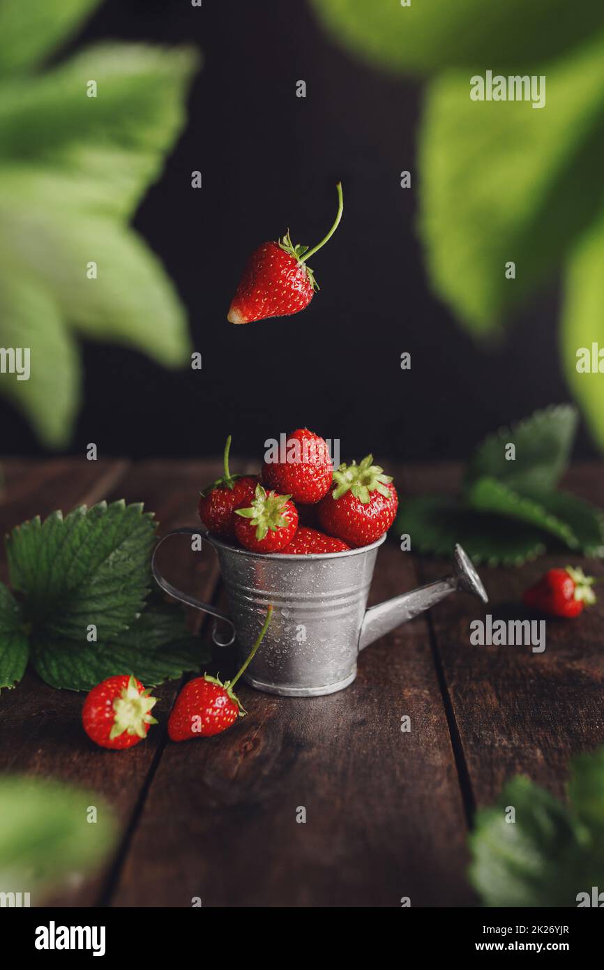 Wooden background table hi-res stock photography and images - Alamy