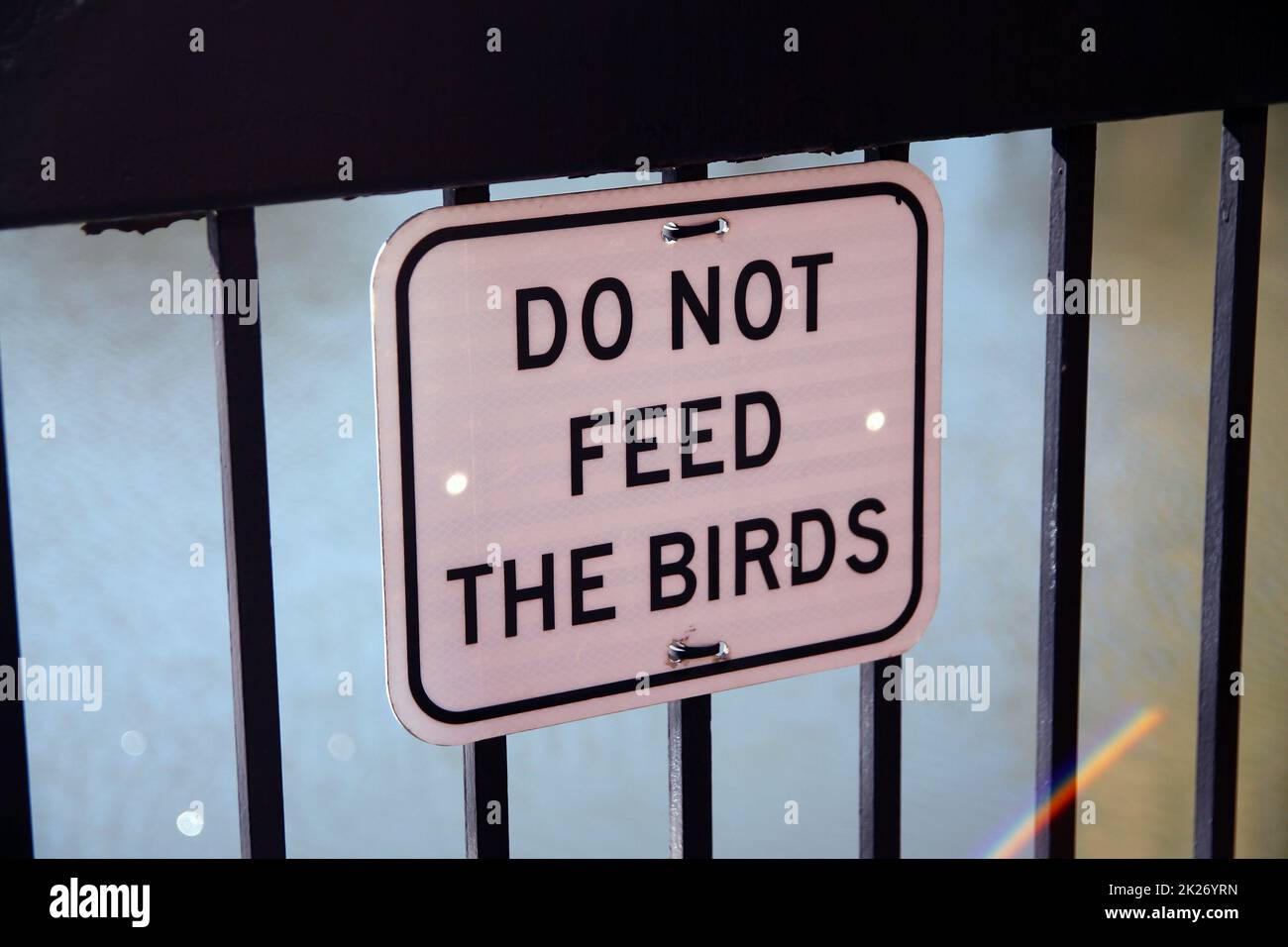 Do not feed the birds, white sign hanged on a black grid on a river ...