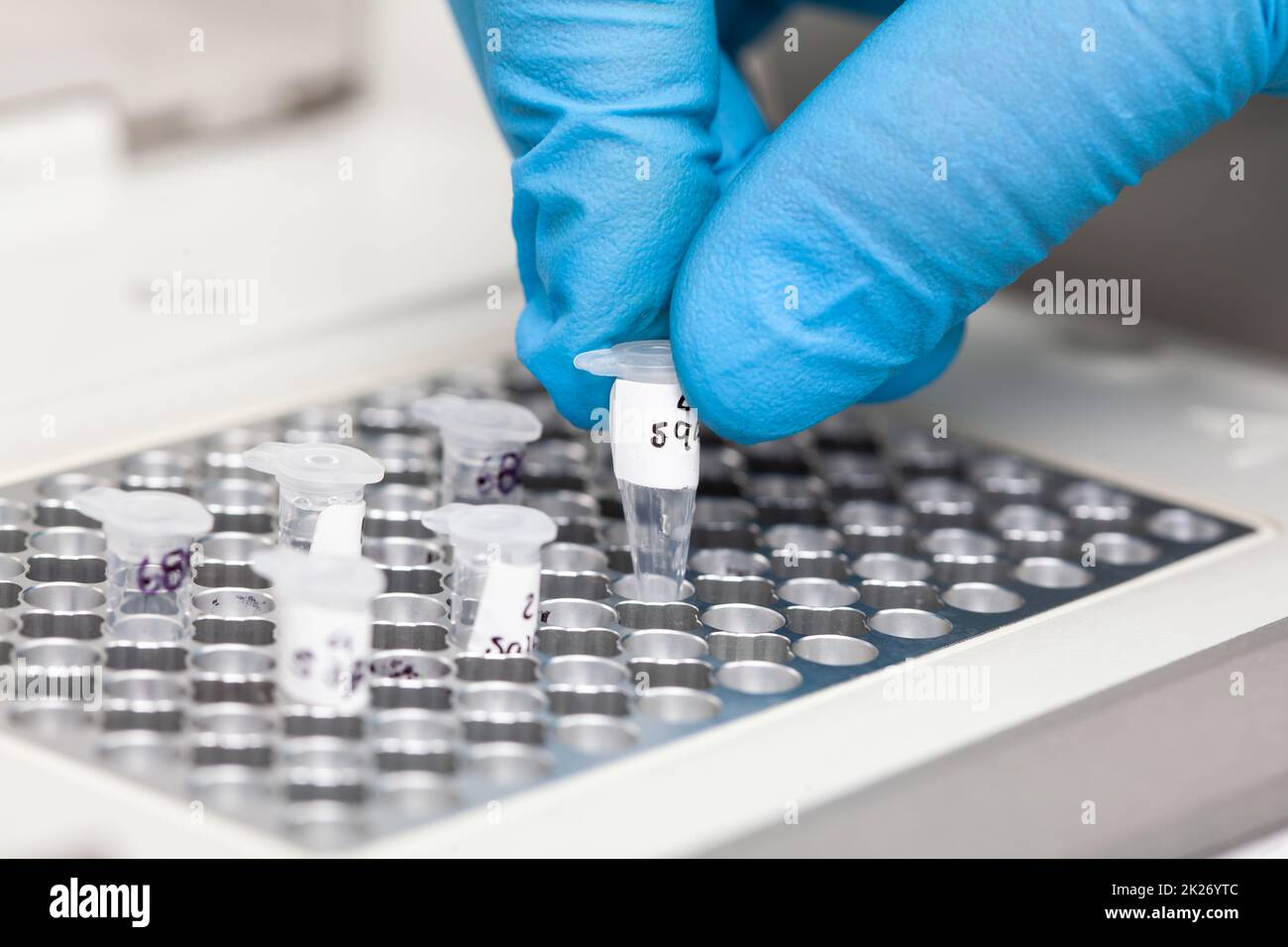 Closeup of a scientist hand while working at the laboratory with a ...