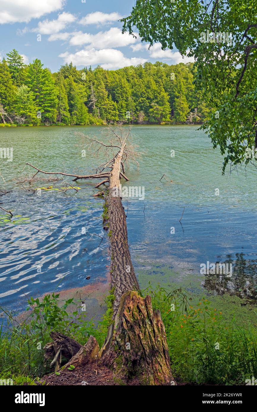 Pretty lakeshore hi-res stock photography and images - Alamy