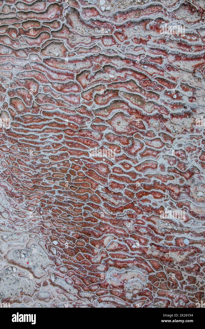 Travertin terraces in Pamukkale, Turkey Stock Photo - Alamy