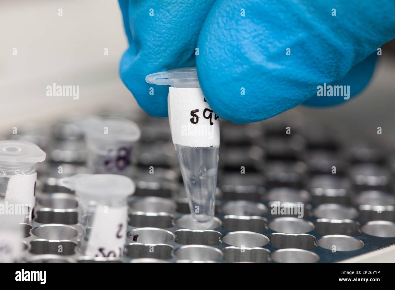 Closeup of a scientist hand while working at the laboratory with a ...