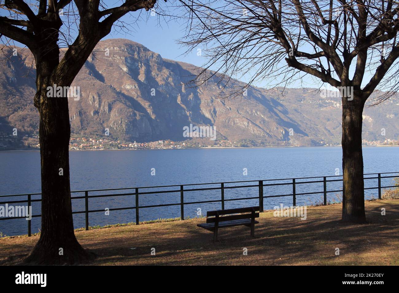 A bench between the trees looking towards the lake and the Alps on the ...