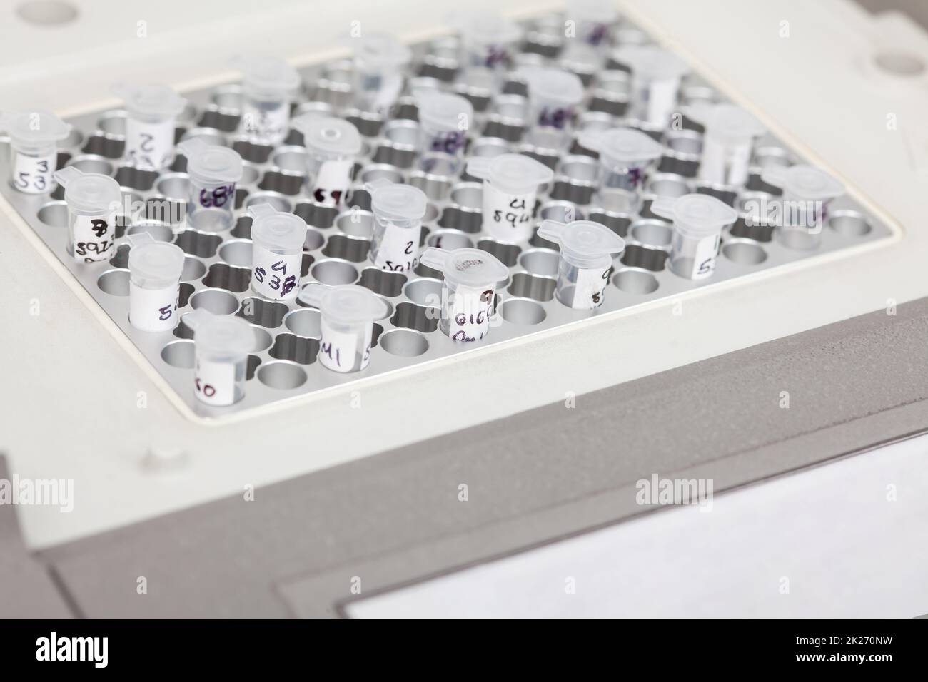 Closeup of test tubes at a thermal cycler block in a molecular biology ...
