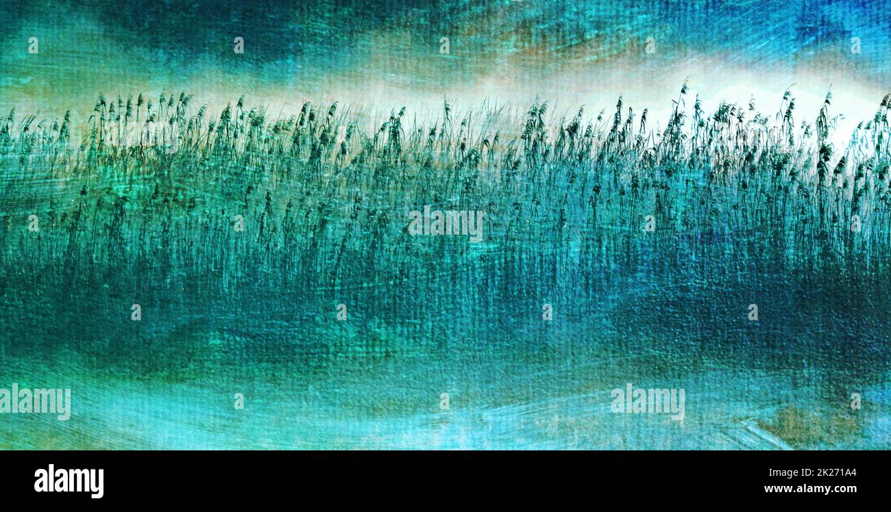 Landscape with morning fog over wetland and reed grass Impression Stock ...