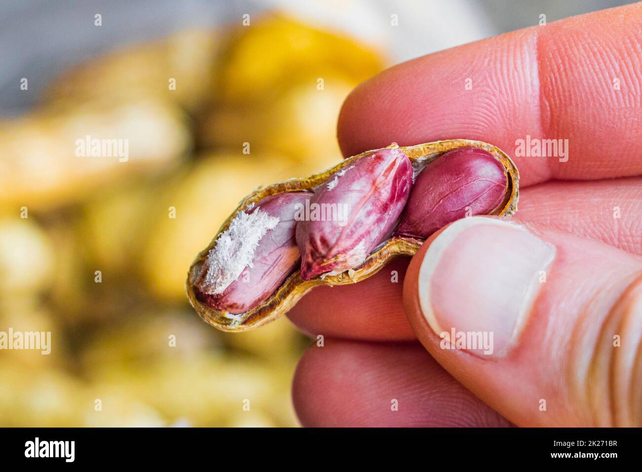 Red skin peanuts hi-res stock photography and images - Alamy
